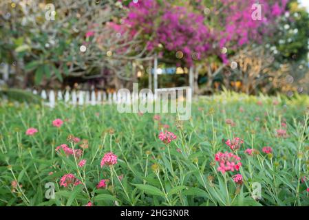 Vintage Magic Background With Color Festive background Stock Photo - Alamy