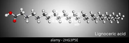 Lignoceric (tetracosanoic) acid molecule. Saturated fatty acid ...