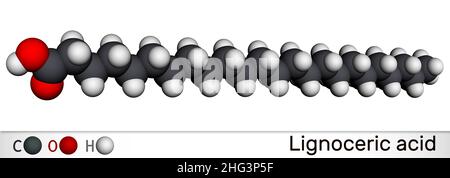 Lignoceric (tetracosanoic) acid molecule. Saturated fatty acid ...