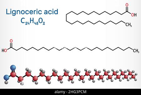 Lignoceric (tetracosanoic) acid molecule. Saturated fatty acid ...
