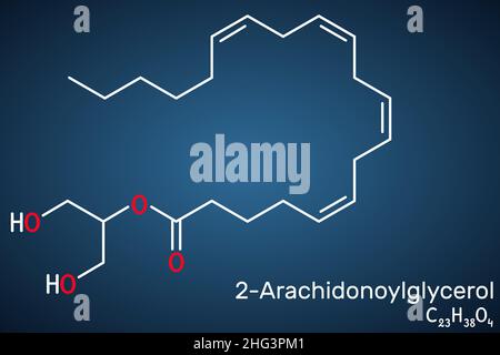 2-Arachidonoylglycerol, 2-AG molecule. It is an endocannabinoid, formed ...