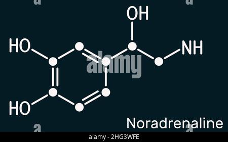 Norepinephrine (noradrenaline, norepi) hormone and neurotransmitter ...