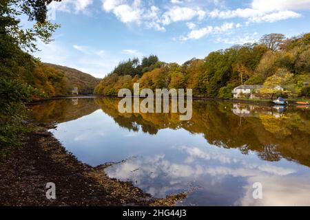 Reflections in the River Lerryn Cornwall on a frosty morining Stock ...