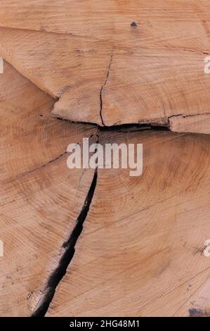 Textured, aged, grainy wooden section of an old, unpainted door with ...