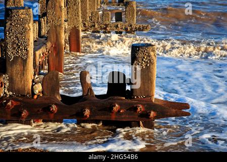 An old eroding timber breakwater sea defence on the North Norfolk coast ...