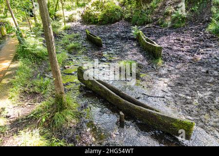 "Fire and Water Boats," by David Nash. Forest of Dean Sculpture Trail ...