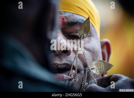 A Hindu devotee gets his mouth pierced with a metal rod before the ...
