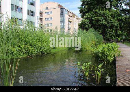 flat building and pond in nancy in lorraine (france Stock Photo - Alamy