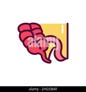 Human organ appendix color line icon. Isolated vector element. Outline ...
