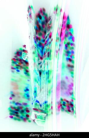 The glimpses, the displays, the play of light created by the rays of ...