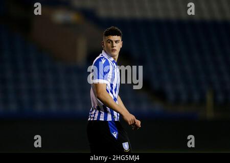 Bailey-Tye Cadamarteri #9 of Sheffield Wednesday during the FA Youth ...