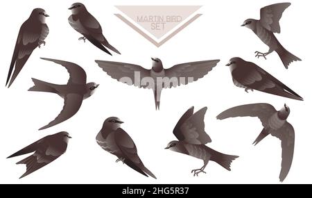 Cute black swift sitting on white background cartoon bird animal design ...