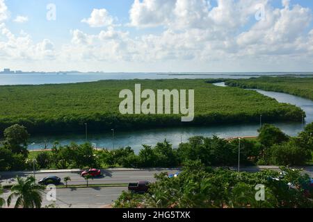 mangrove trees, lagoon, Cancún, state of Quintana Roo, Yucatán ...