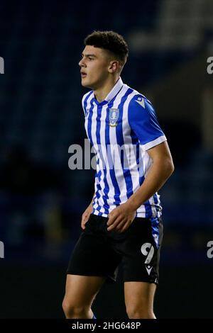 Bailey-Tye Cadamarteri #9 of Sheffield Wednesday during the FA Youth ...