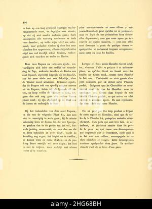 Sepp Surinaamsche vlinders pl 083 text1 descr as Phalaena dicolon Stock ...