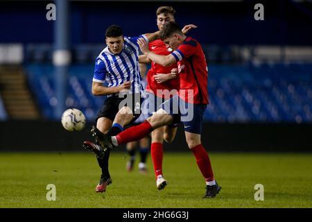 Bailey-Tye Cadamarteri #9 of Sheffield Wednesday during the FA Youth ...