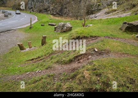 January 2022 - Environmental damage caused to the side of Cheddar Gorge ...