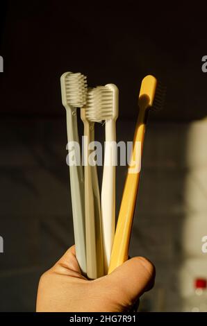 Hand And Toothbrushes Stock Photo - Alamy