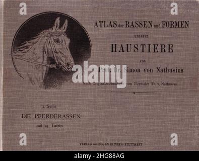 Simon vN, Atlas Stock Photo - Alamy