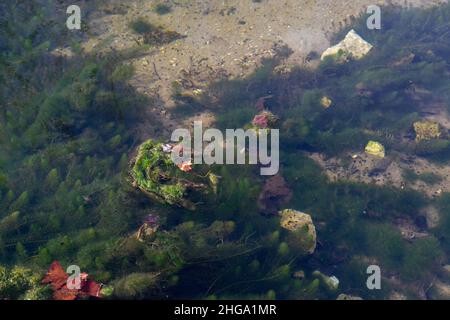 Roy Laughlin Park, hiking trail and fishing spot nature-Rubidoux spring ...