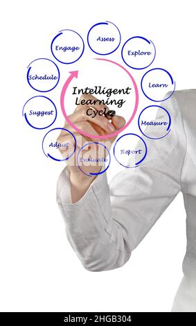 Stages of Intelligent Learning Cycle Stock Photo - Alamy