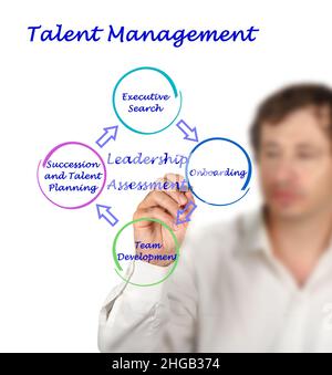 Four Components of Talent Management Stock Photo - Alamy