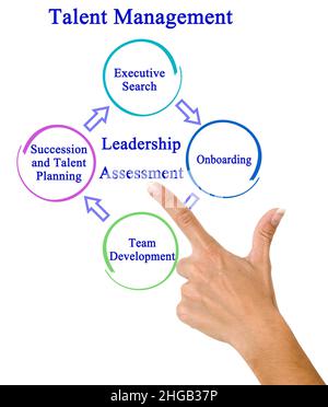 Four Components of Talent Management Stock Photo - Alamy