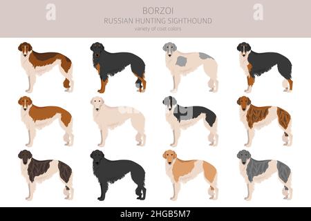 Russian hunting sighthound Borzoi clipart. Different coat colors and ...