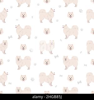 Japanese spitz clipart. Different poses, coat colors set. Vector ...