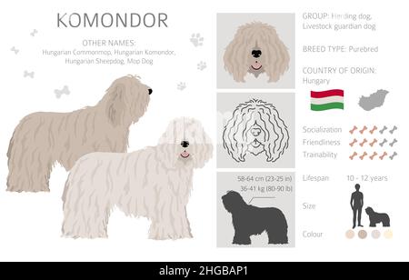 Komondor clipart. Different poses, coat colors set. Vector illustration ...