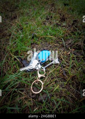 Found still-life of apparently misplaced keys and ring Stock Photo - Alamy
