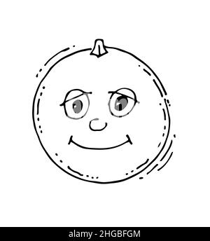 Orange fruit drawing illustration by hand drawn line art Stock Vector ...
