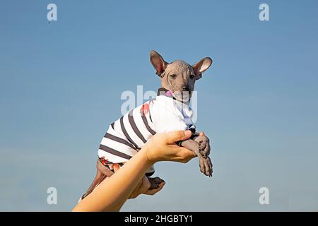 A woman looks sideways while holding a small golden object Stock Photo ...