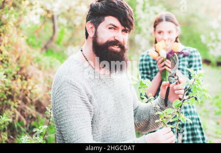 Man grafting spring branch. Couple of Gardeners with garden tools ...