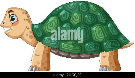 Side view of turtle with green shell in cartoon style illustration ...