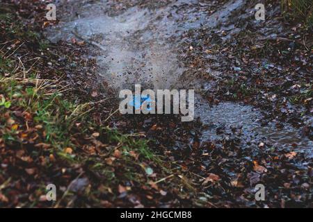 Radio controlled buggies cars race, process of rc wireless model toy ...