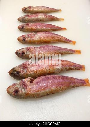 Raw red mullet fillets close-up on white background Stock Photo - Alamy