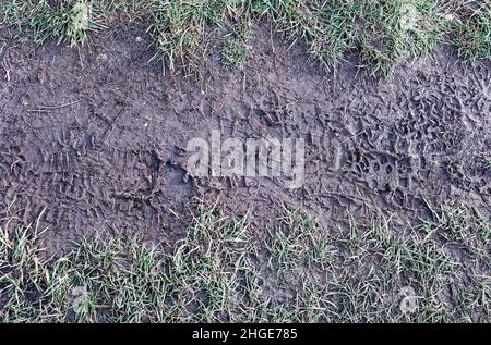 Boot footprints in the mud Stock Photo - Alamy