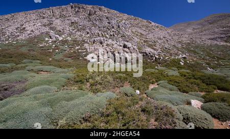 Hiking track to Psiloritis,the highest mountain in Crete in Greece ...