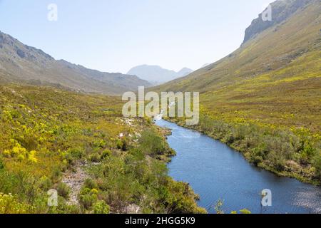 Palmiet River in the Kogelberg Nature Reserve near Kleinmond in the ...