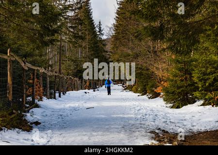 People walking through icy mountain trail next to wooden fence and high ...
