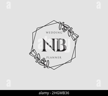 NB feminine logo. Usable for Nature, Salon, Spa, Cosmetic and Beauty ...