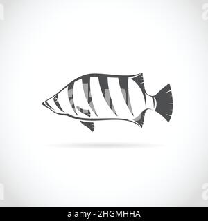Tiger fish Vector Cartoon Stock Vector Image & Art - Alamy
