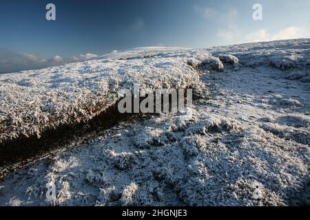 A Culter Fell hillwalk on New Year's Day, 2009, across the valley from ...