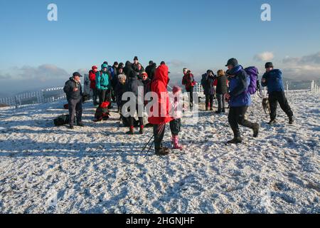 A Culter Fell hillwalk on New Year's Day, 2009, across the valley from ...