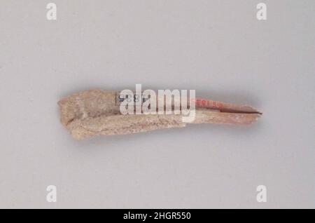 Tooth of an ox Cypriot. Tooth of an ox. Cypriot. Bone Stock Photo - Alamy