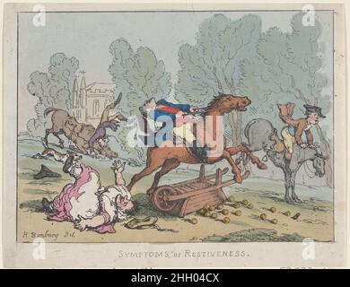 Horse, detail, forelegs Stock Photo - Alamy