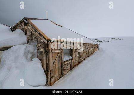 Mawson's Hut, Cape Denison, Antarctica Stock Photo - Alamy