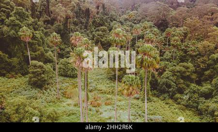 Clover Hill Trail waterfall in Macquarie Pass National Park Stock Photo ...