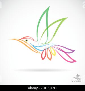 Abstract humming bird illustration vector design template. Hummingbird ...